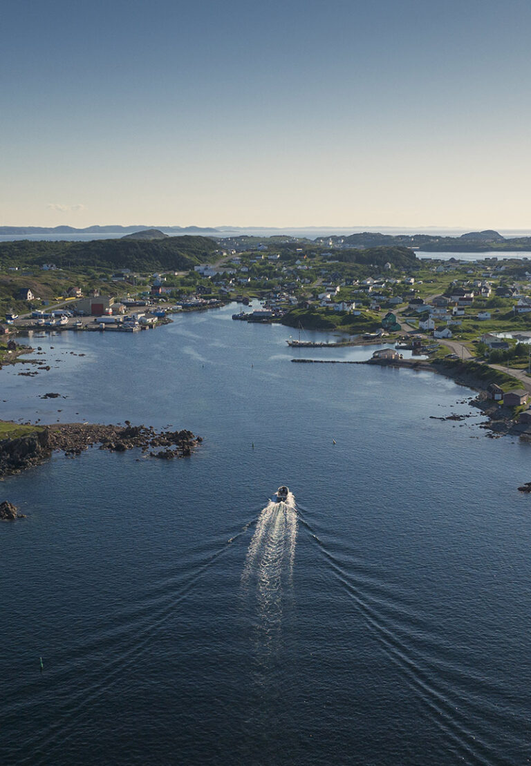 Newfoundland and Labrador Seafood